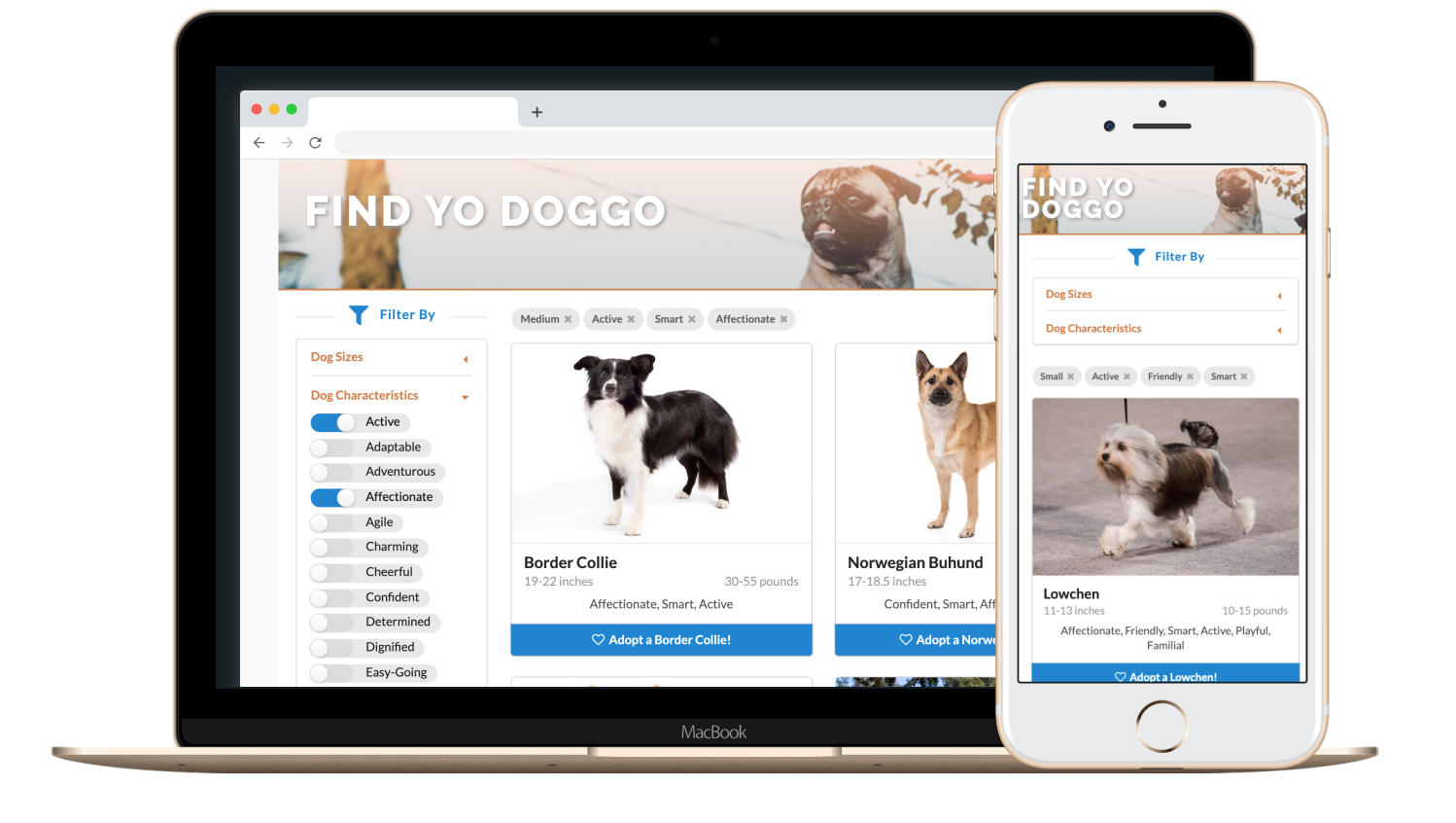 Amanda Cox, Full Stack Software Engineer